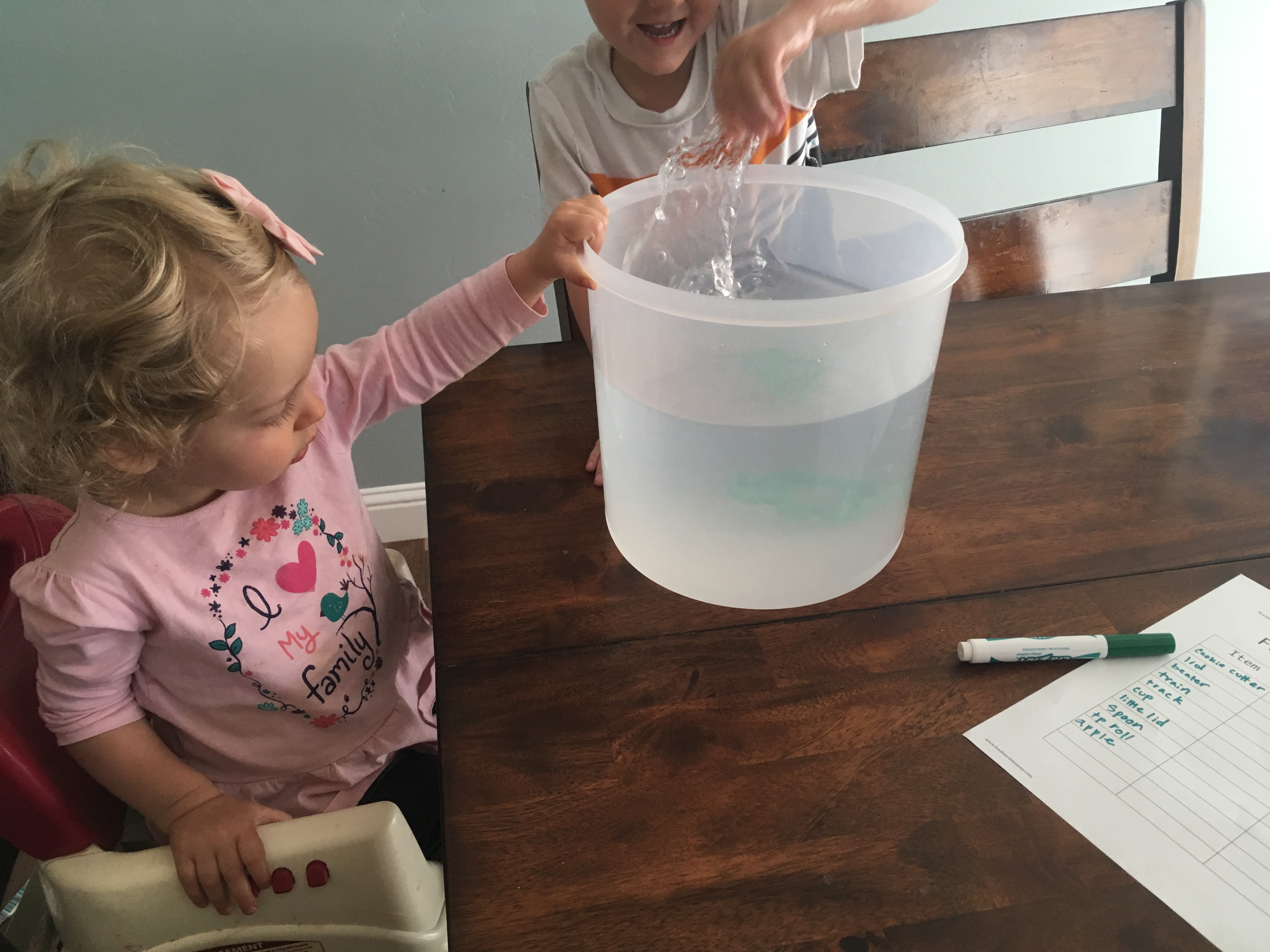 Float and Sink STEM Activity Inspired by "Sea Monkey and Bob" · Book ...