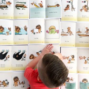 What We're Using To Teach Reading At Home · Book Nerd Mommy
